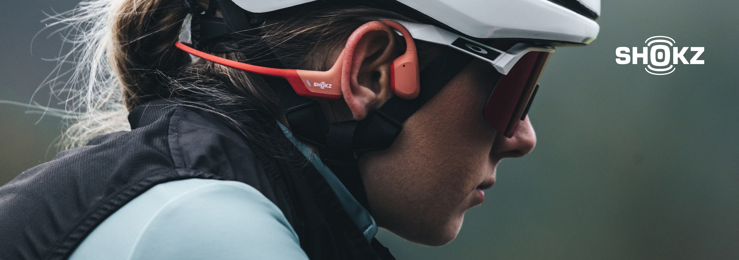 2moso Dealer Webshop